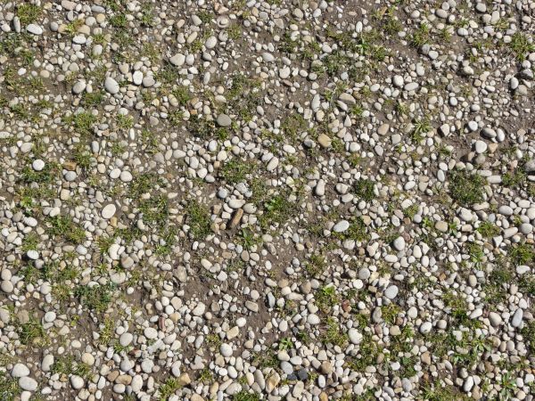 grass on stones texture 0021 - Texturelib